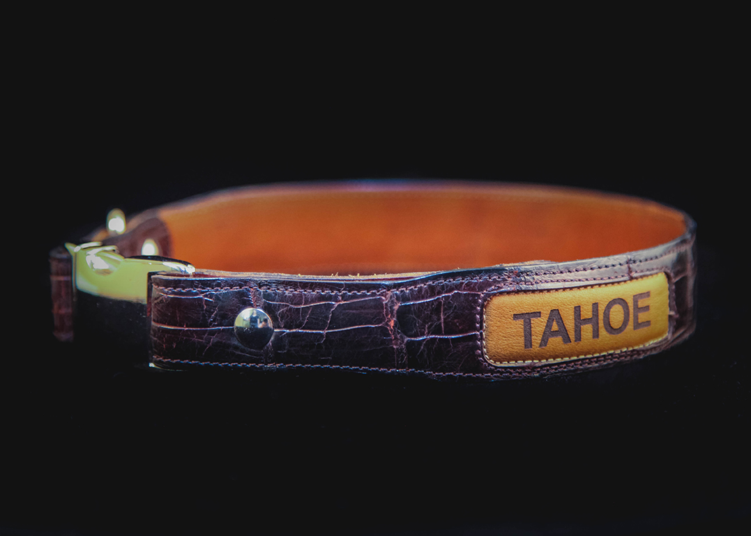 Custom Dog Collars - Maida's Bespoke Footwear